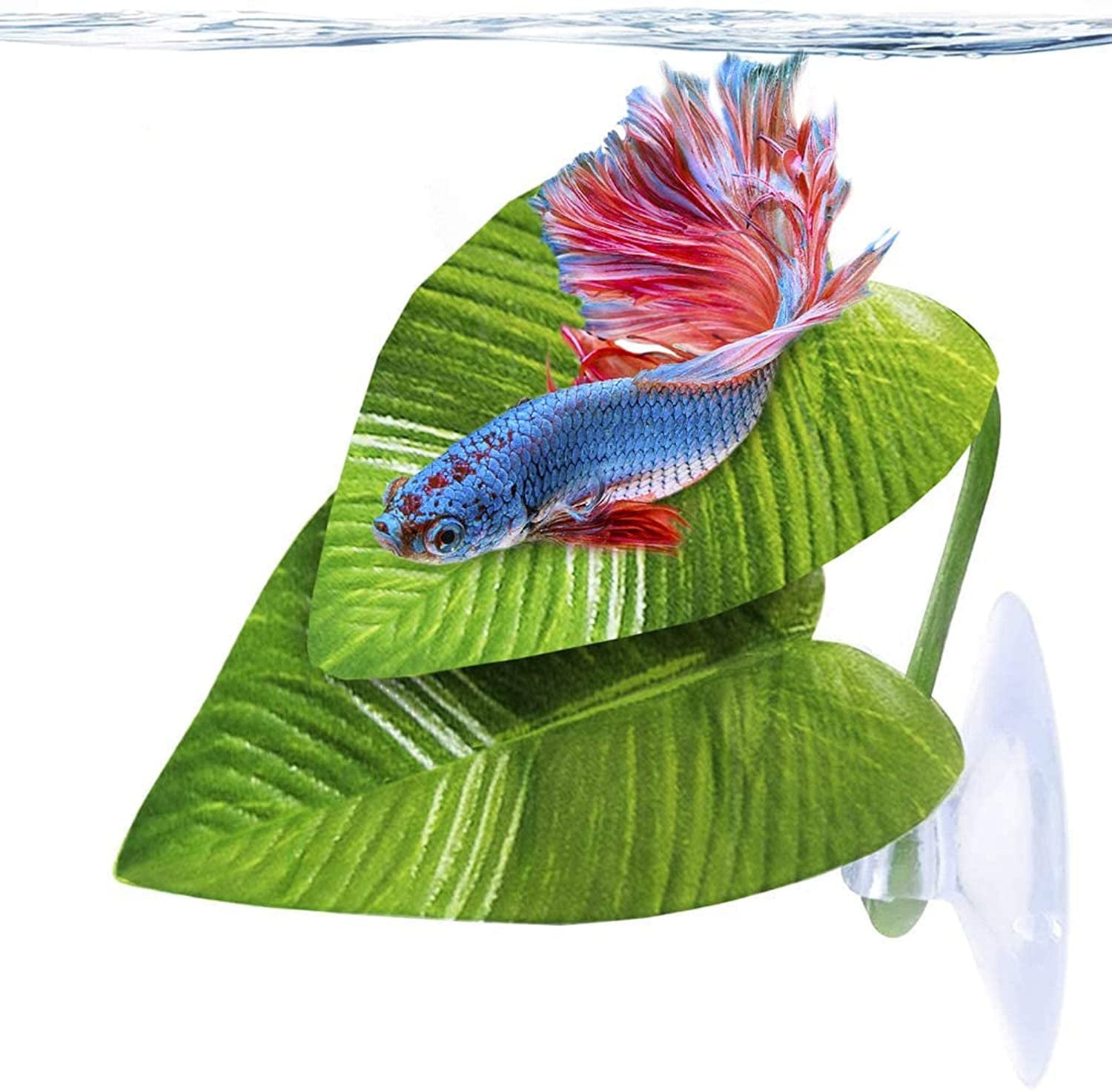Walbest Betta Leaf Hammocks, Twin-Leaf Design, Must Have for Your Betta ...