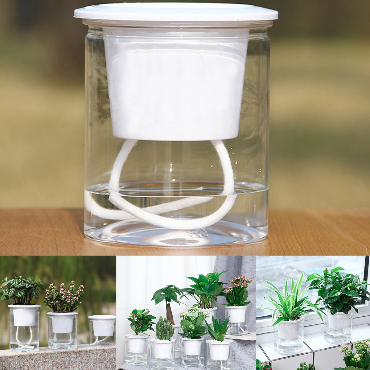 Walbest Clear Automatic Water Absorption Planter Plastic Self Watering ...
