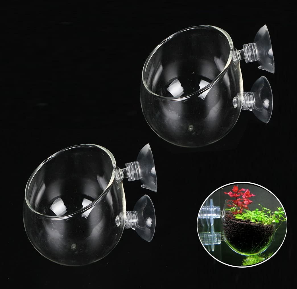 Walbest Crystal Glass Aquatic Plant Cup Pot Holder, Aquarium Tank Live ...