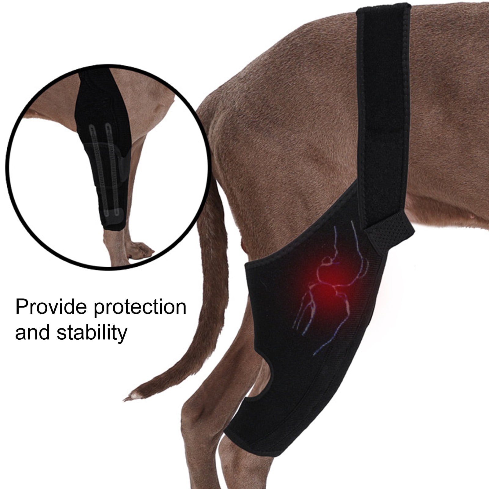 Walbest Dog Knee Rear Leg Brace with Fastening Strap, Wear Resistant ...