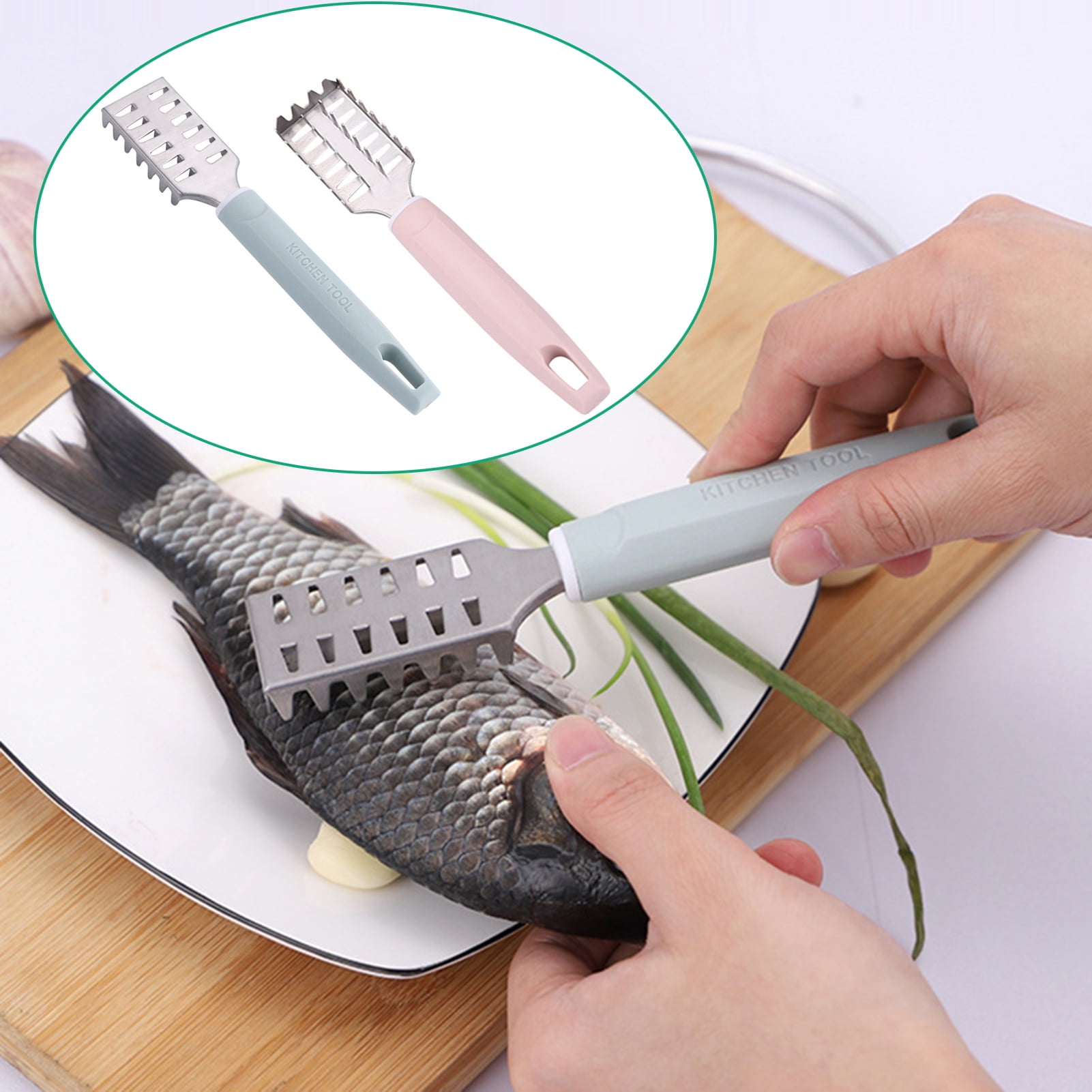 Walbest Fish Scale Remover Food Grade Plastic Handle Stainless Steel ...