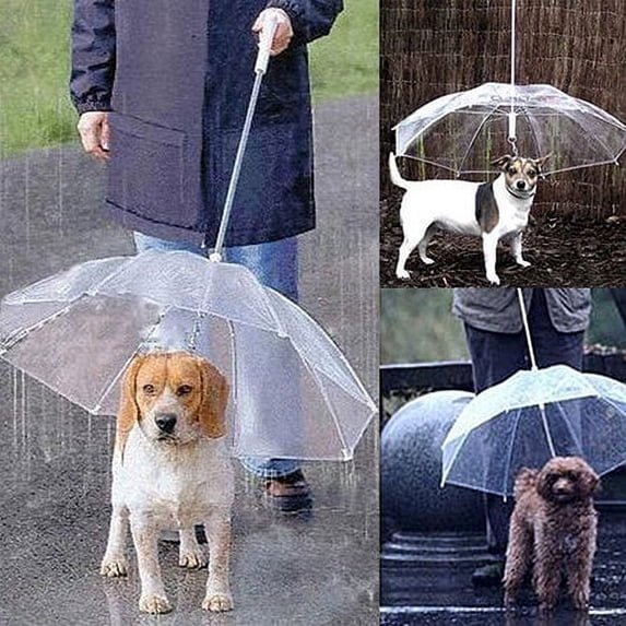 Walbest Clear Folding Pet Dog Umbrella with Adjustable Leash, Keeps Pet ...