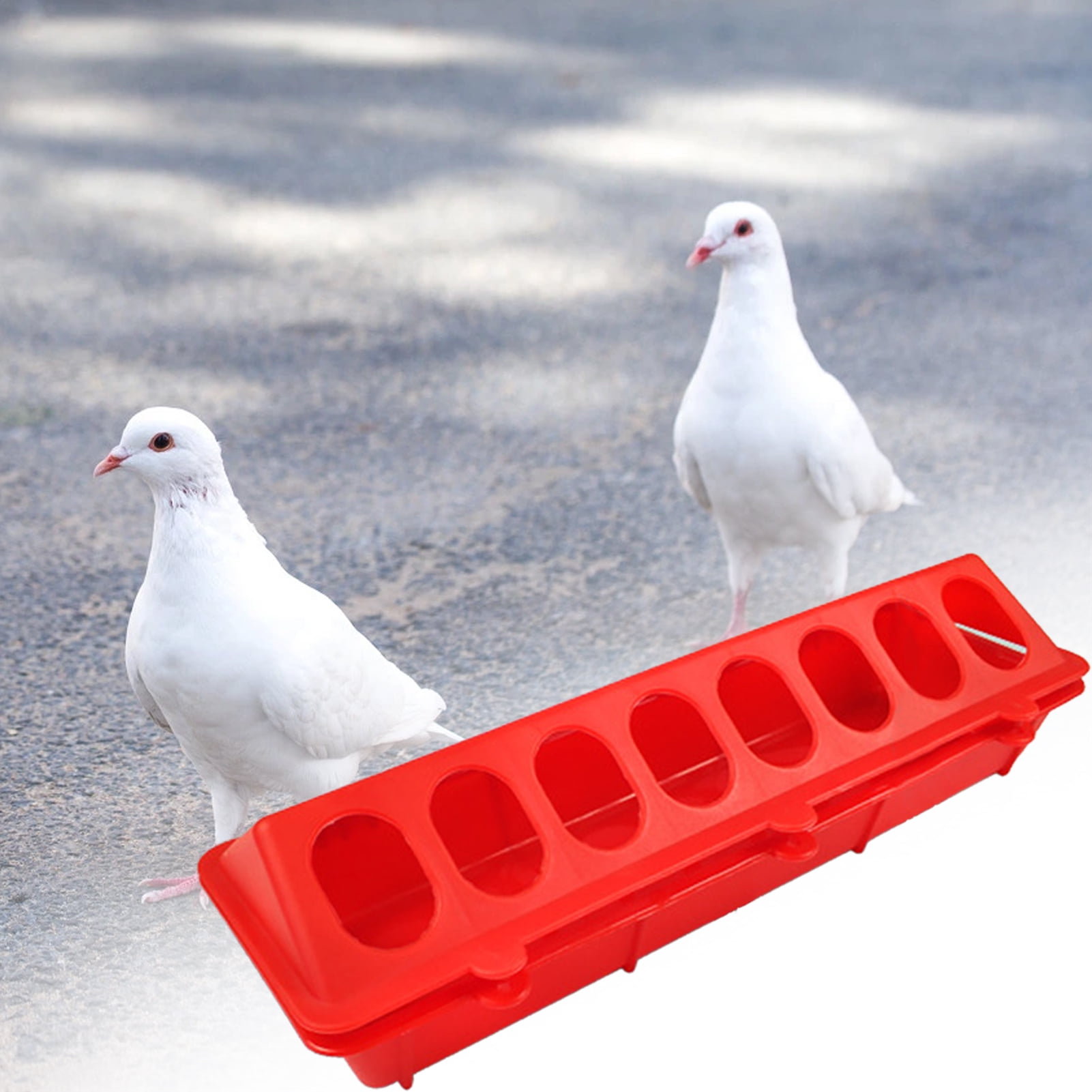 Walbest Plastic Flip Top Chicken Feeders Plastic Small Poultry Feeder ...