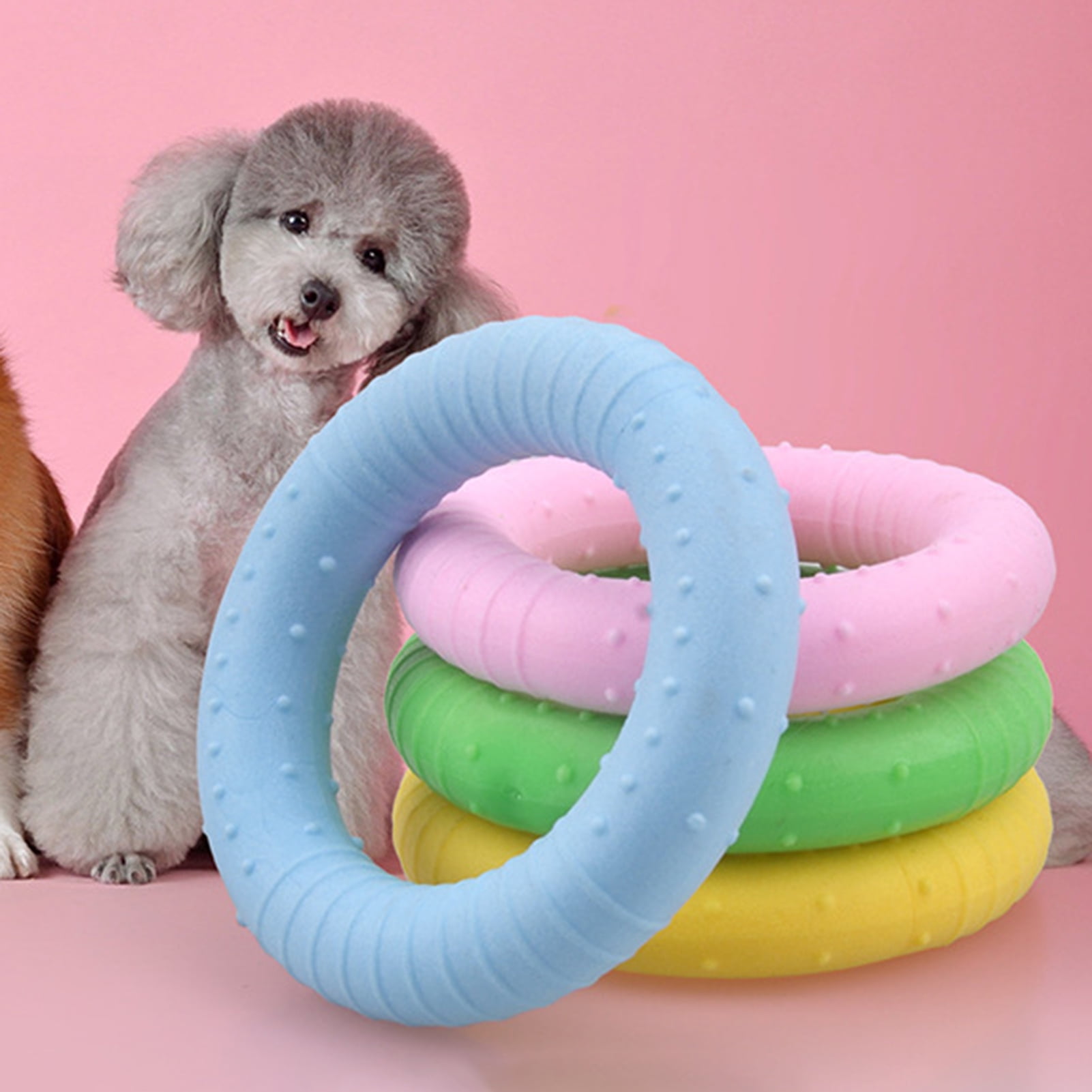 Walbest Puppy Teething Chew Toys, TPR 360° Foaming Circle, Teeth ...