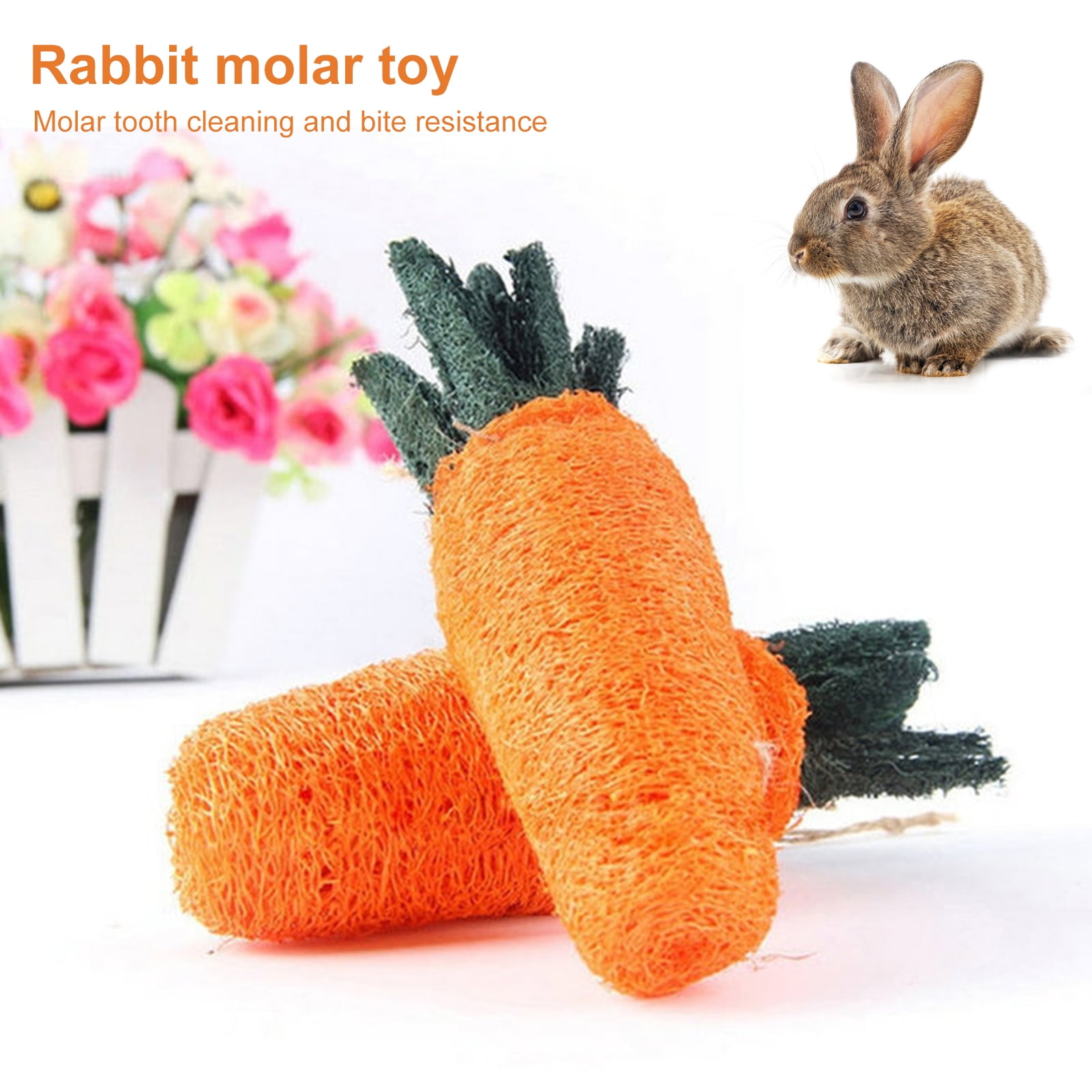 Walbest Rabbit Chew Toys for Teeth Grinding, No Glue, Loofa Carrot Toys ...