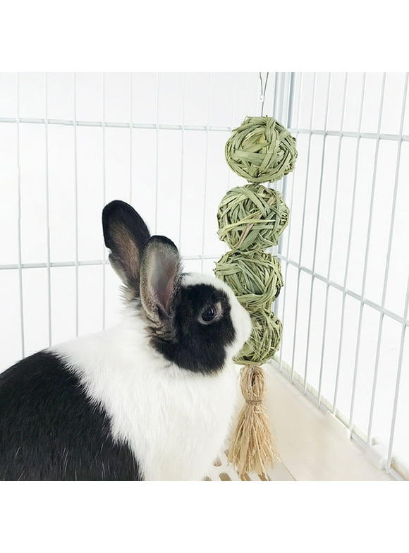 Hamster Toys in Hamsters - Walmart.com