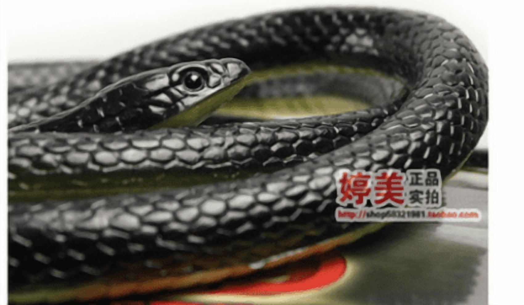 Walbest Realistic Fake Rubber Snake Toy Black Fake Snake, That Look ...