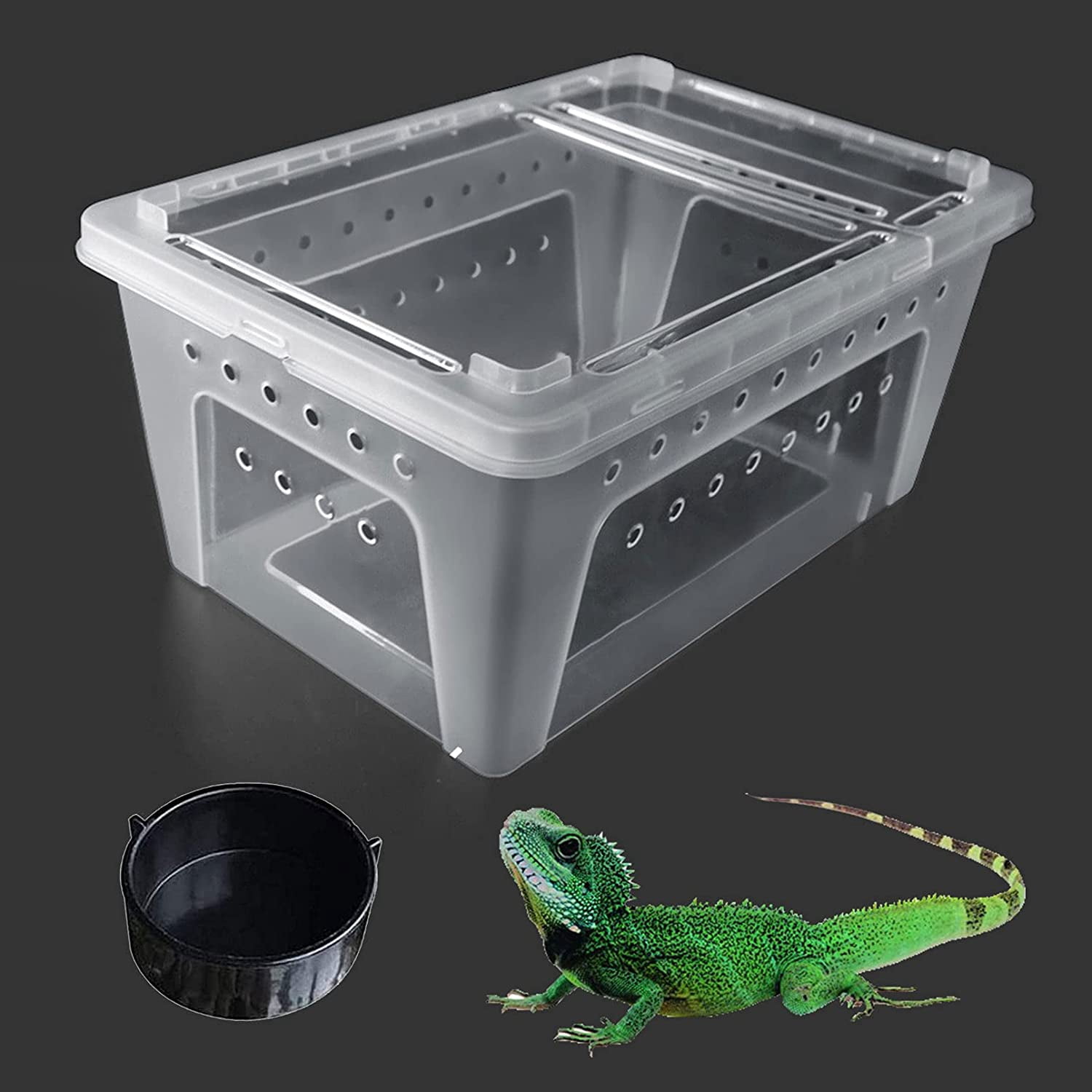 Walbest Reptile Snake Feeding Box Breeding Hatching Container Lizard ...