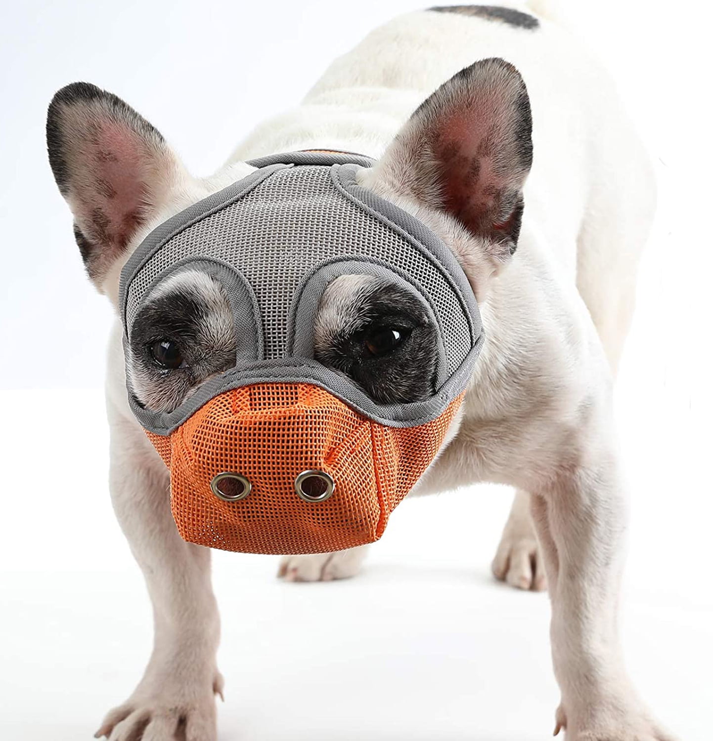 Walbest Short Snout Dog Muzzle, Breathable Mesh Anti Biting Chewing and ...