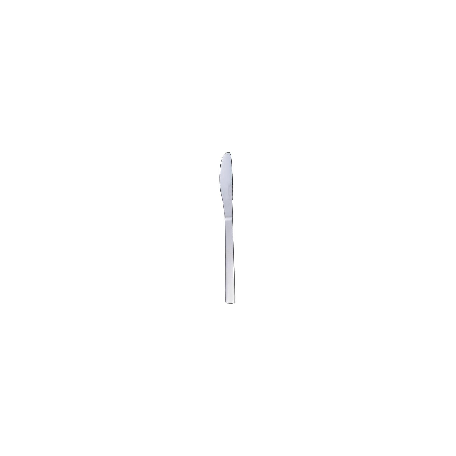 Walco Dinner Knife,Length 8 In,PK12 WL7220 - Walmart.com