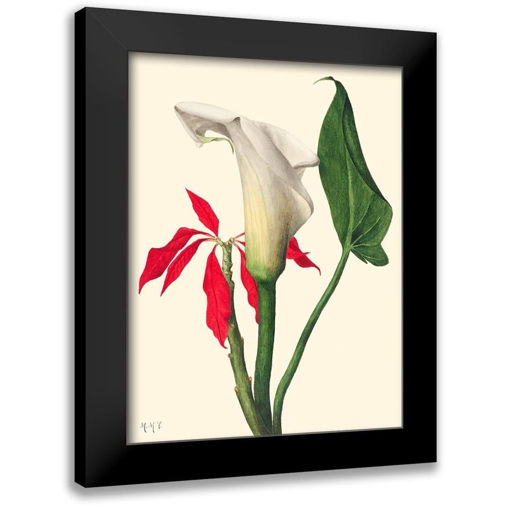 Walcott, Mary Vaux 15x18 Black Modern Framed Museum Art Print Titled ...