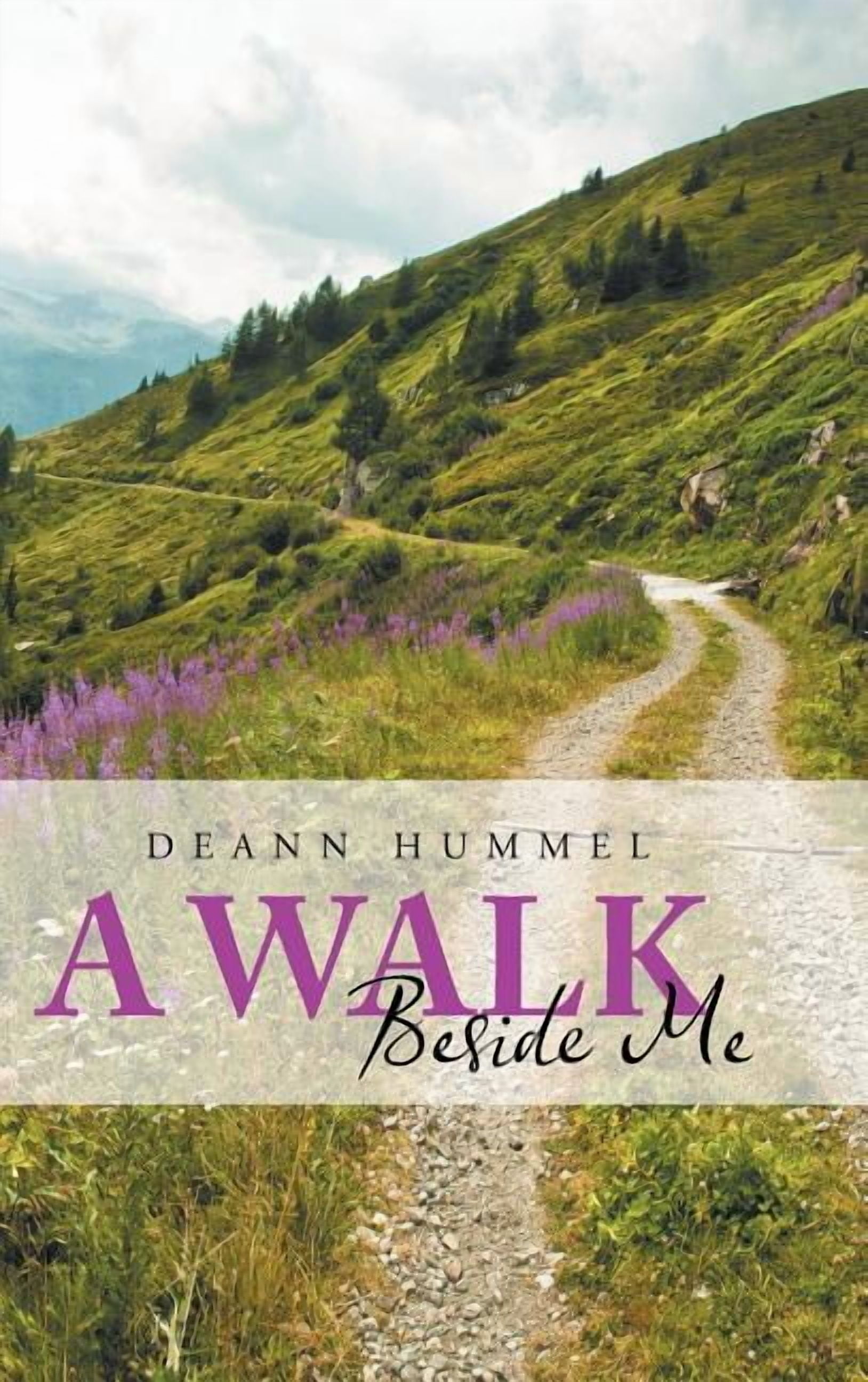 A Walk Beside Me (Hardcover) - Walmart.com