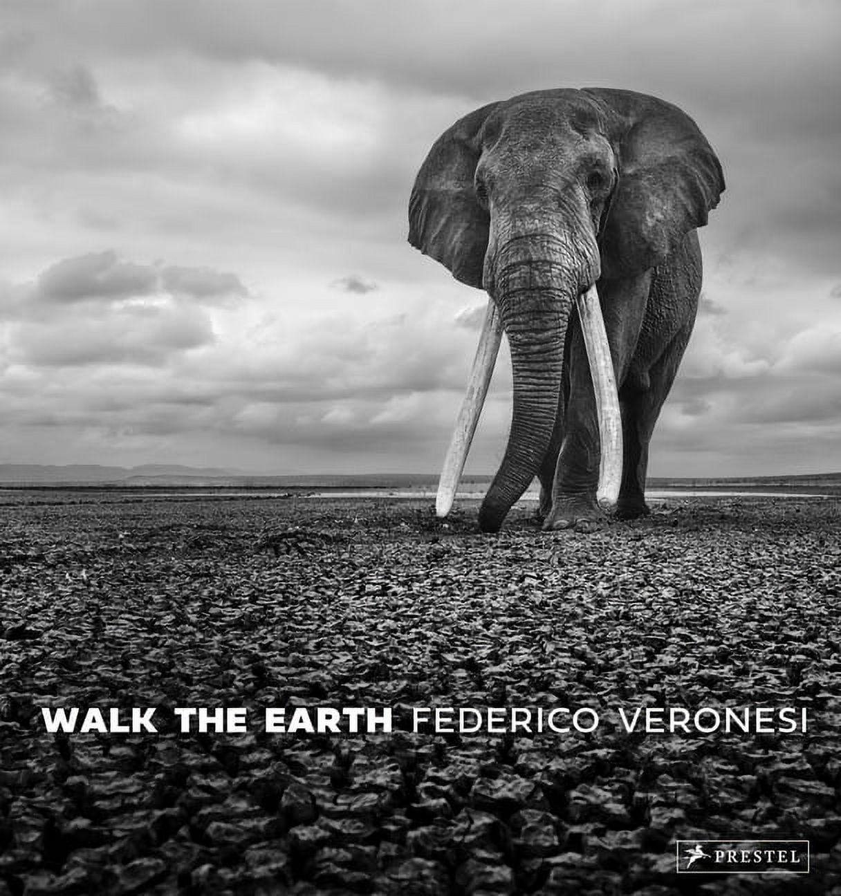 Walk Earth