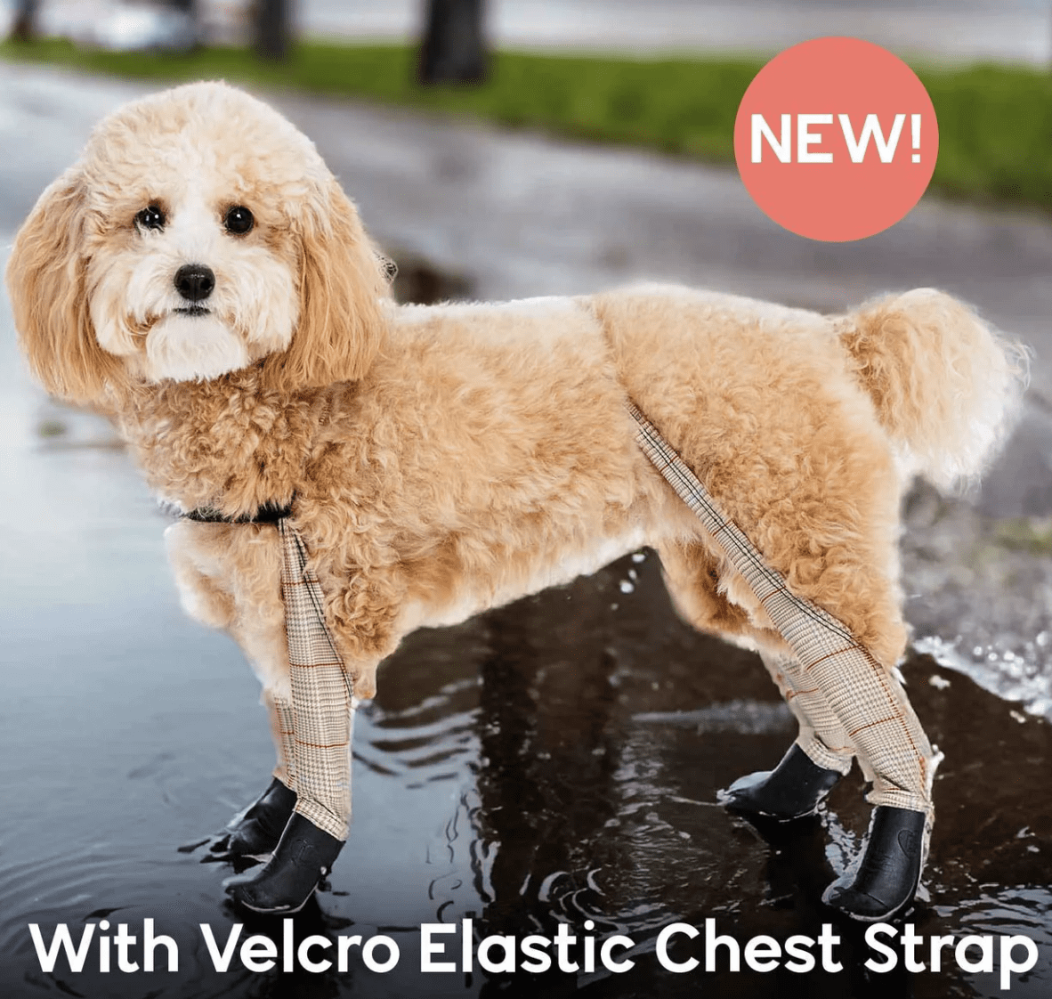 Walkee Paws New Deluxe Easy-On, Dog Suspender Boot Leggings, Waterproof ...