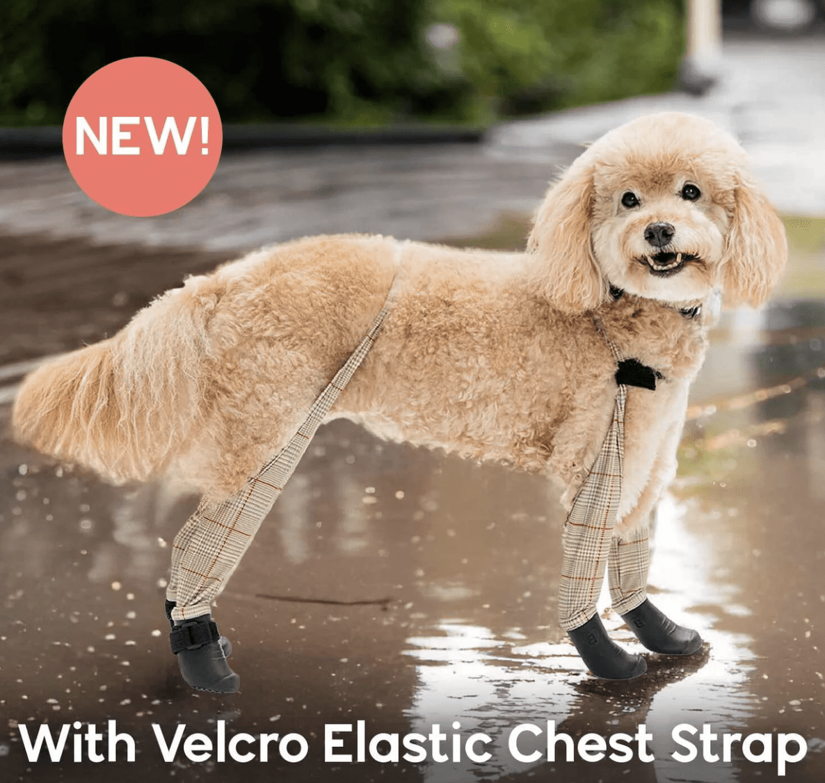 Walkee Paws New Deluxe Easy-On, Dog Suspender Boot Leggings, Waterproof ...