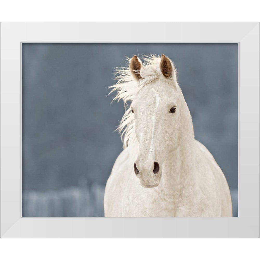 Walker, Carol 14x12 White Modern Wood Framed Museum Art Print Titled ...