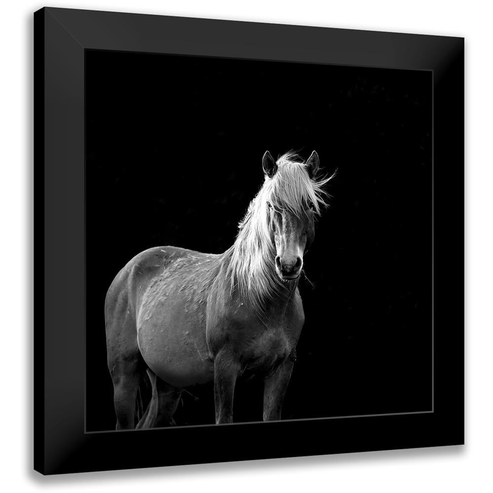 Walker, Carol 15x15 Black Modern Framed Museum Art Print Titled - The ...
