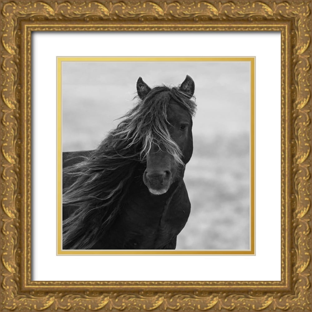 Walker, Carol 15x15 Gold Ornate Wood Framed with Double Matting Museum ...