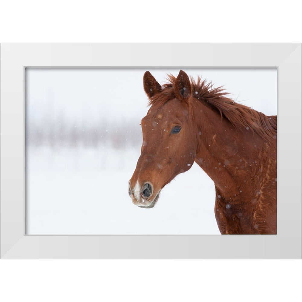 Walker, Carol 18x13 White Modern Wood Framed Museum Art Print Titled ...