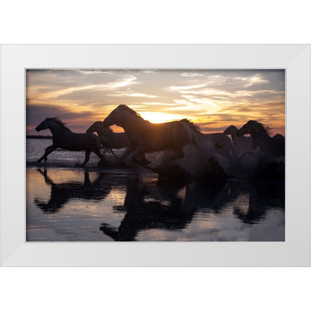 Walker, Carol 18x13 White Modern Wood Framed Museum Art Print Titled ...