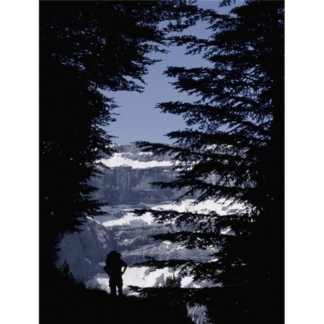 Walker Climbing Up Hill Between Trees with The Cirque De Gavarnie ...