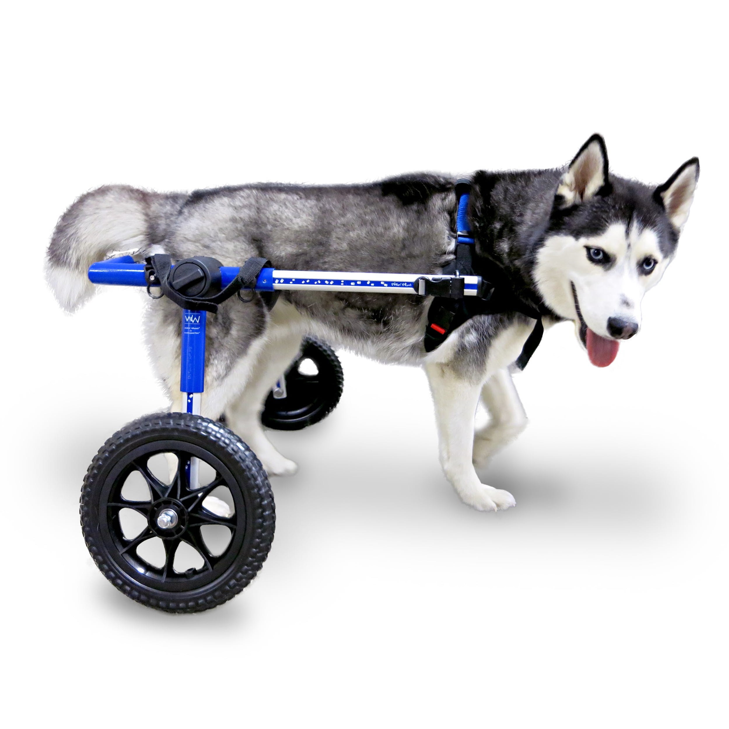 Walkin' Wheels Dog Wheelchair - Vet Approved - Med to Large Dogs 50 ...