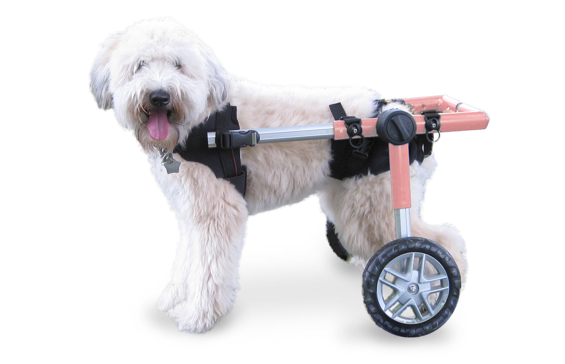 Walkin' Wheels Dog Wheelchair - Vet Approved - Medium Dogs 26 - 49 lbs ...