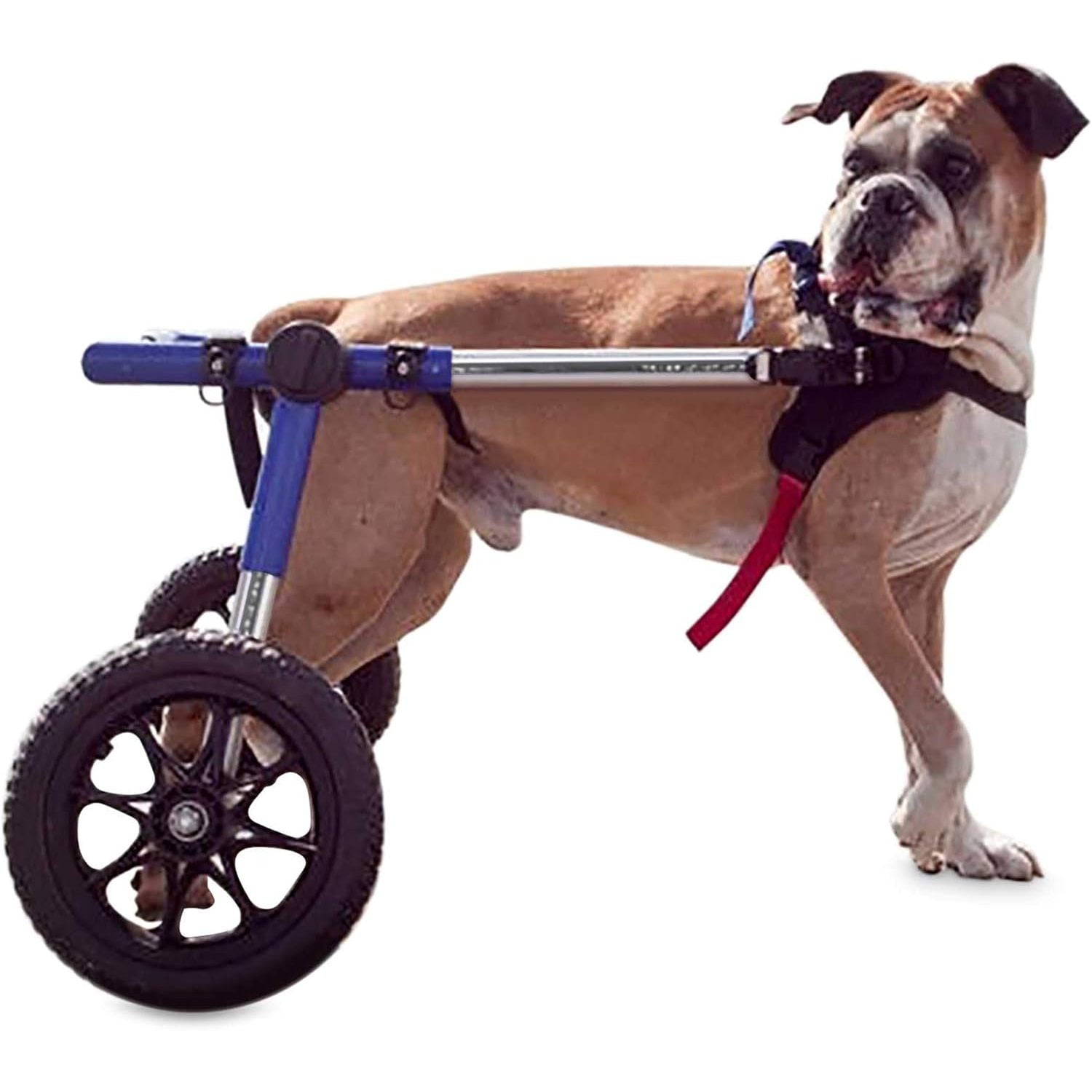Walkin' Wheels Dog Wheelchair - for Large Dogs 70-180 Pounds ...