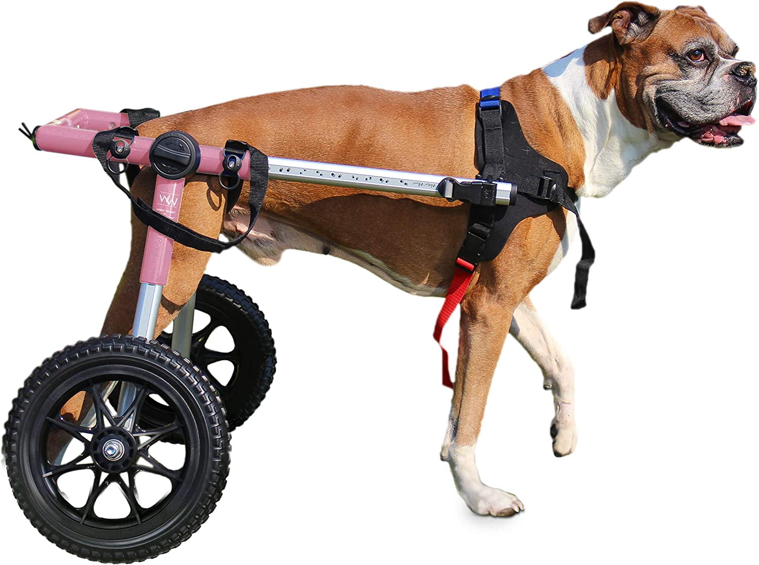 Walkin' Wheels Dog Wheelchair - for Med/Large Dogs 50-69 Pounds ...