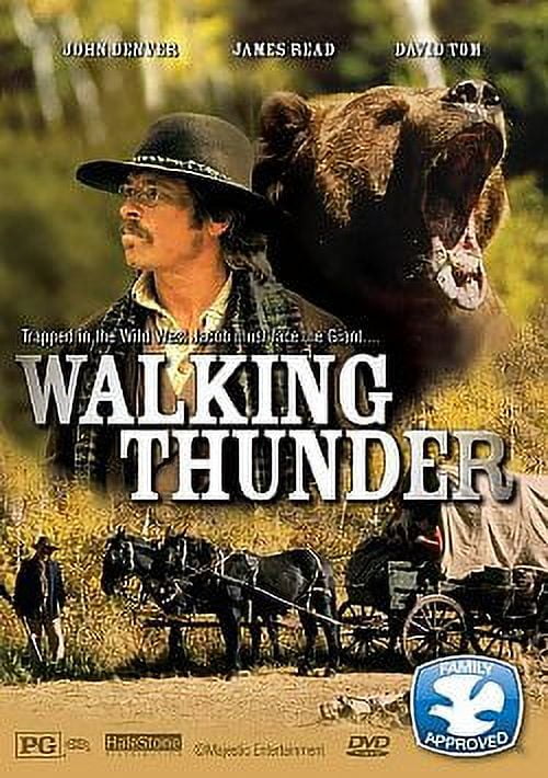 Pre-Owned Walking Thunder (Dvd) (Good) - Walmart.com