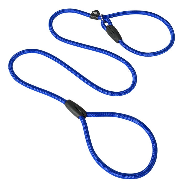 Walking a dog with a leash to prevent slipping, a large and medium ...