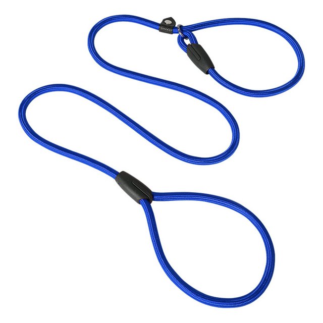 Walking a dog with a leash to prevent slipping, a large and medium ...