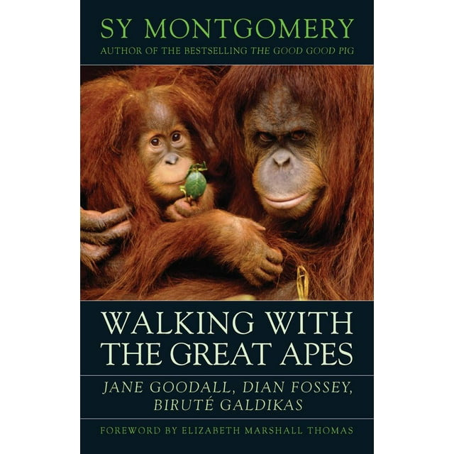 Walking with the Great Apes: Jane Goodall, Dian Fossey, Biru - Walmart.com