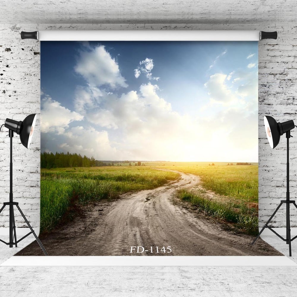 Walkway Field Sky Vinyl Photography Background for Photo Shoot Props ...