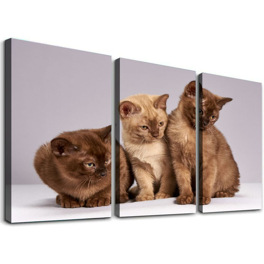 Wall Art Canvas 12"x16"x3pcs Cute Cats Artwork Paintings Print on ...