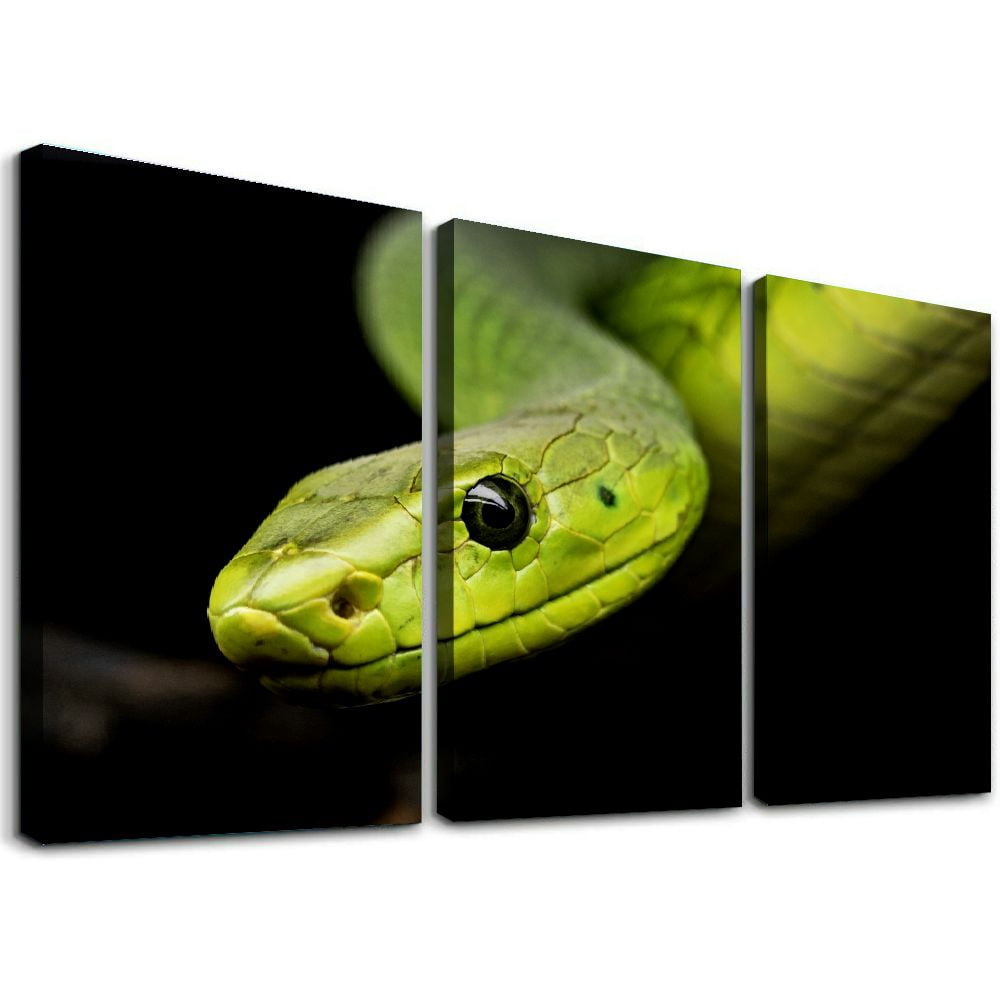 Wall Art Canvas 12"x16"x3pcs Green Snake Artwork Paintings Print on ...