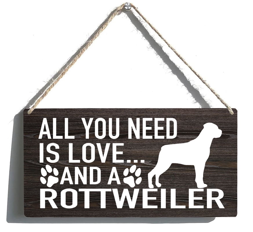 Wall Art Decor Wooden Sign Funny Wood Signs All You Need Is Love And A ...