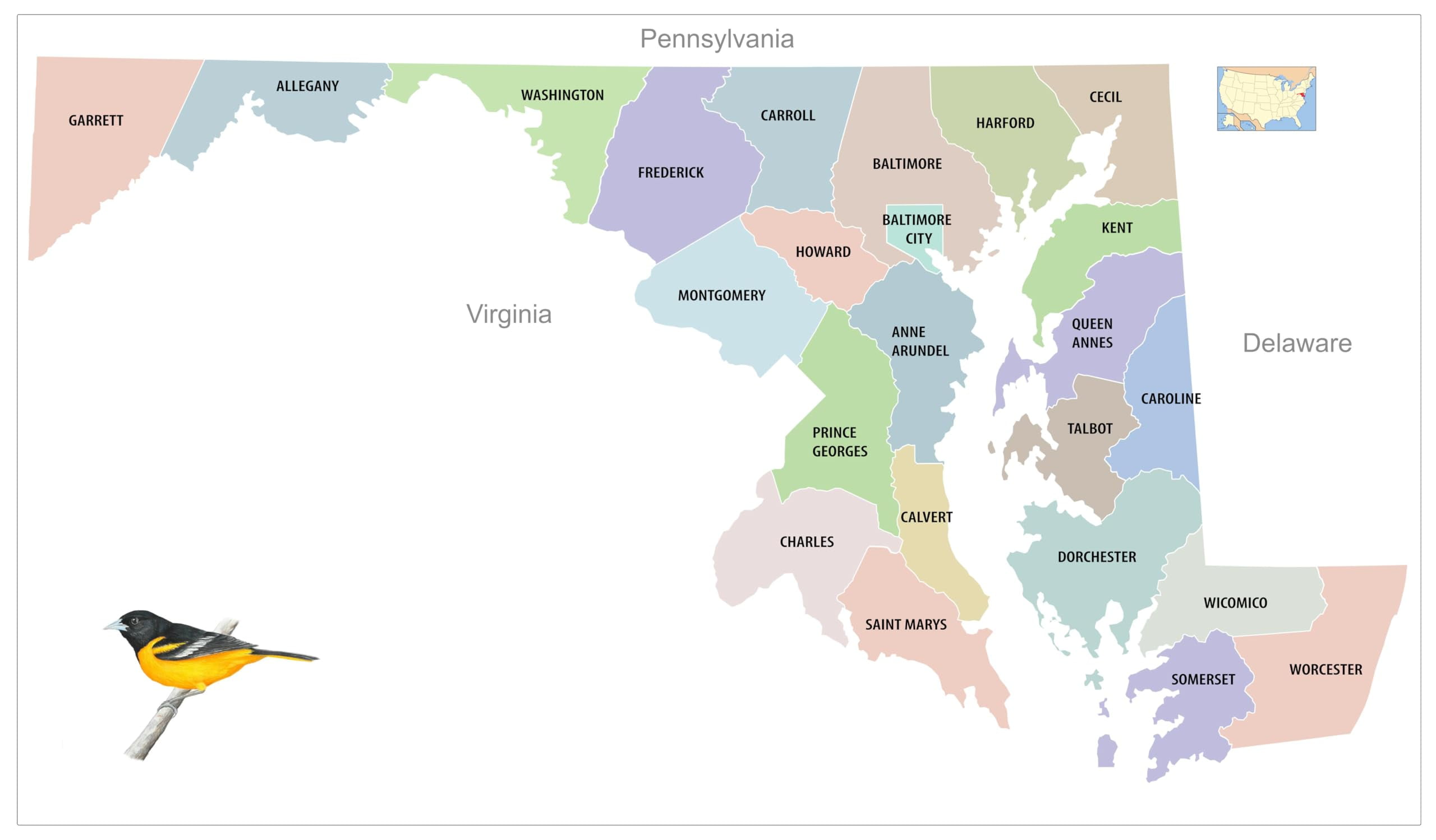 Wall Art Impressions 40x24in Poster Maryland County Map [Plain Coated ...