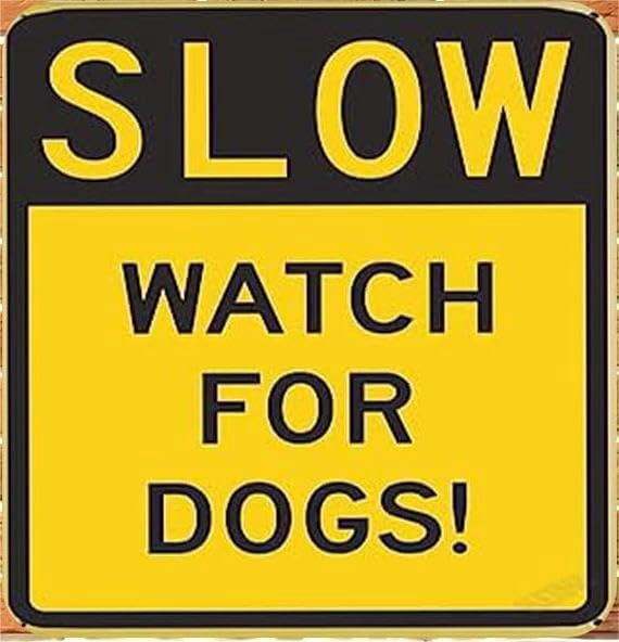 Wall Art Plaque Dogs Dog Run Runner Yard Slow Down Signs Yard ...