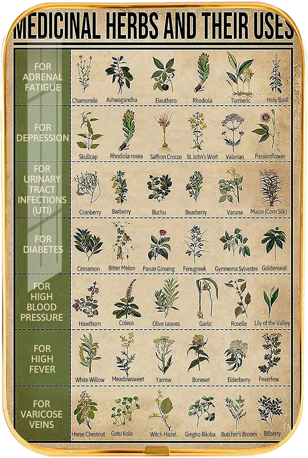 Wall Art Sign Decor Medicinal Herbs And Their Uses Posters Crystal ...