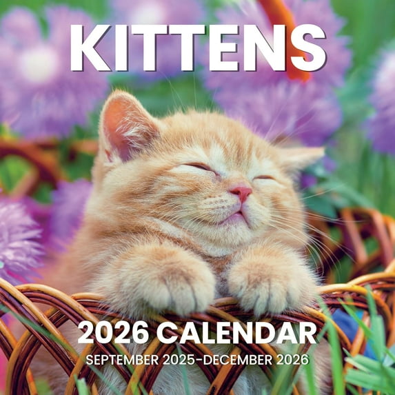 Wall Calendar 2026, Kittens From September 2025 to December 12"x24 ...