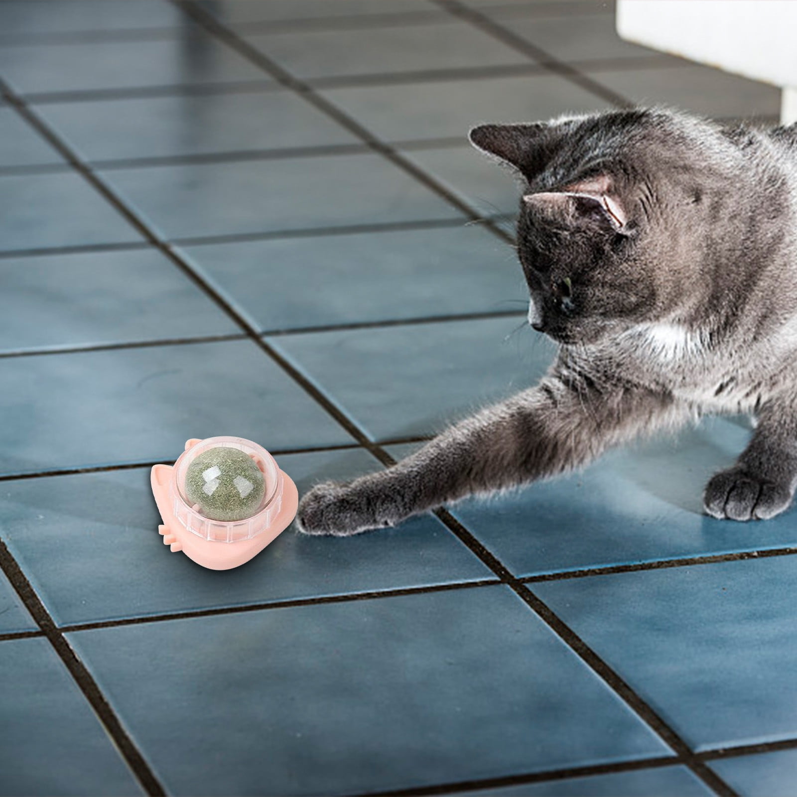 Wall Catnip Balls Toy, Rotating Snack Balls, Natural Catnip Balls With ... Wall Catnip Balls Toy, Rotating Snack Balls, Natural Catnip Balls With ...