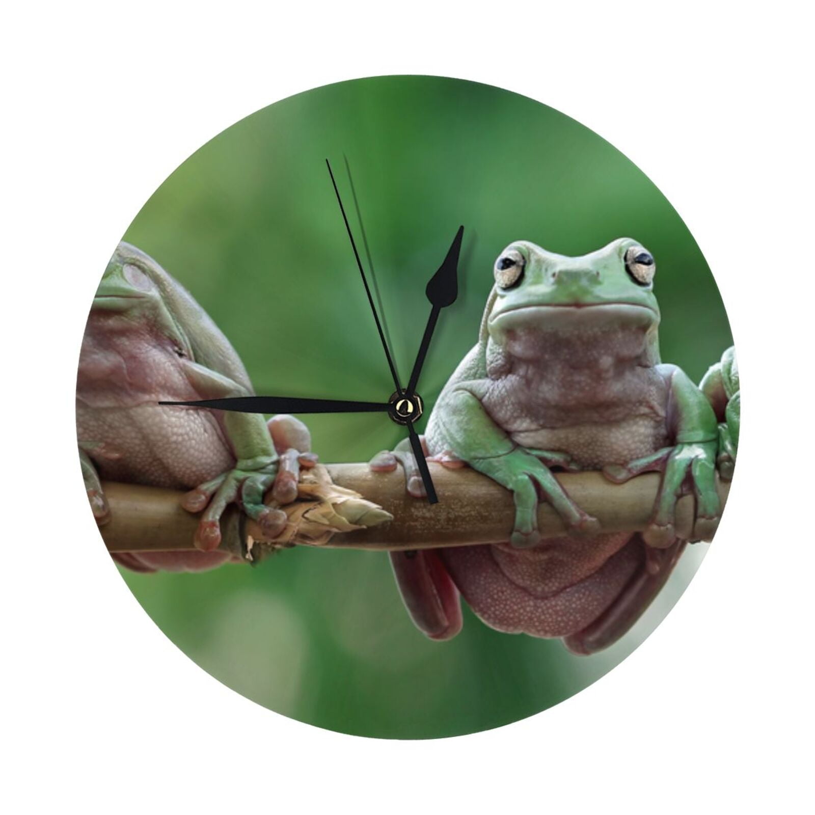 Wall Clock, Australian White Tree Frog Branch Wall Clocks Battery ...