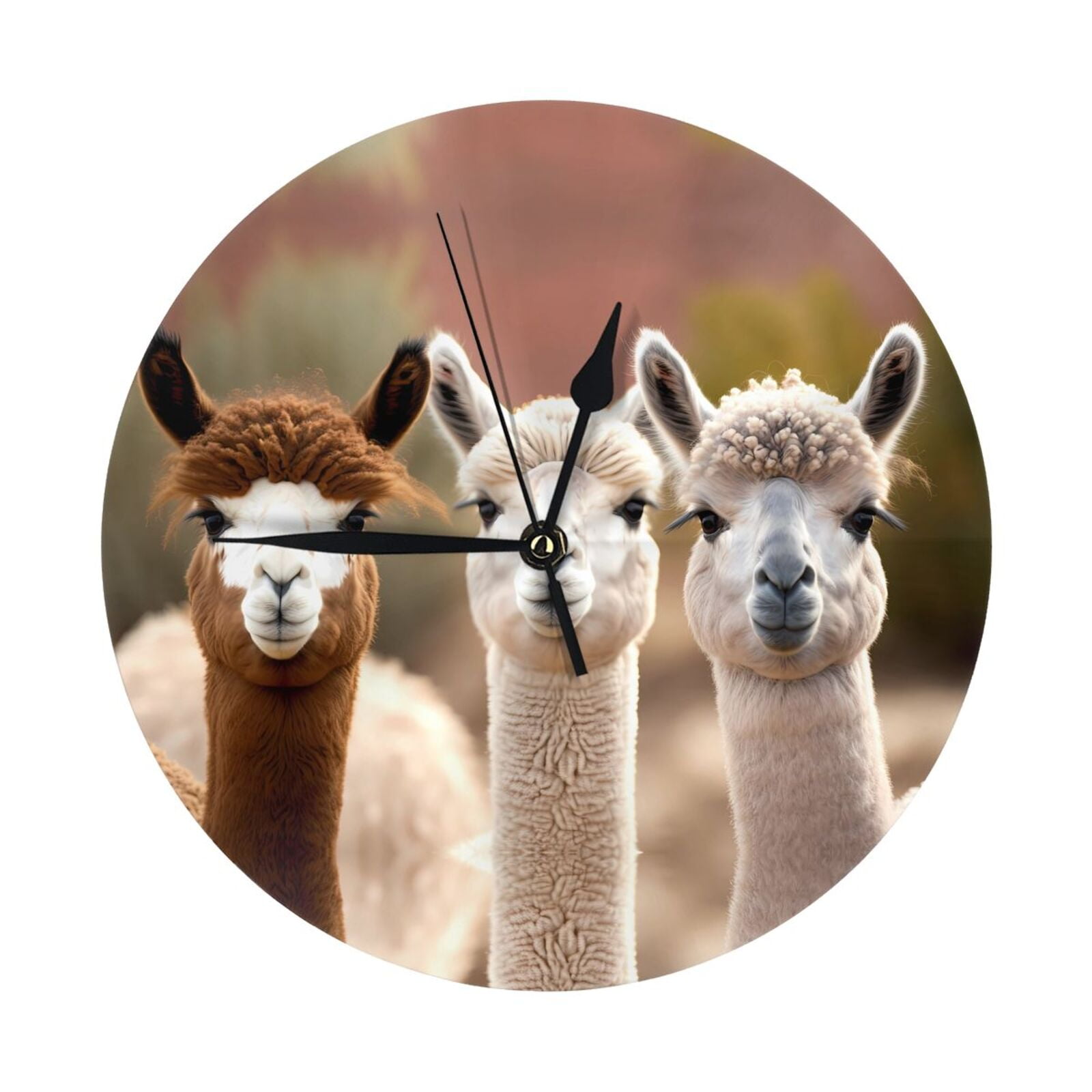 Wall Clock, Cute Alpaca in Daze Wall Clocks Battery Operated Silent ...