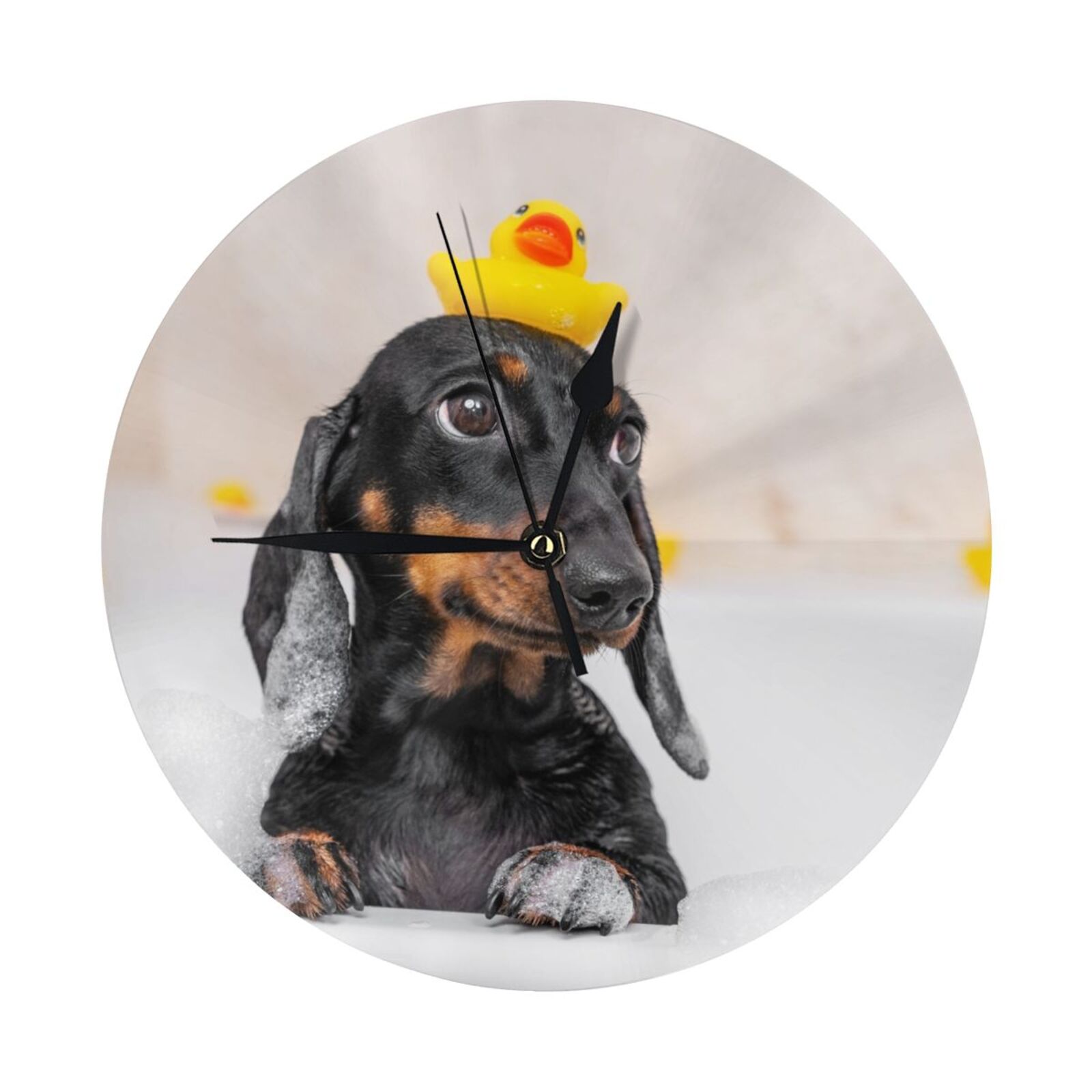 Wall Clock, Dachshund Sitting in Bathtub Wall Clocks Battery Operated ...