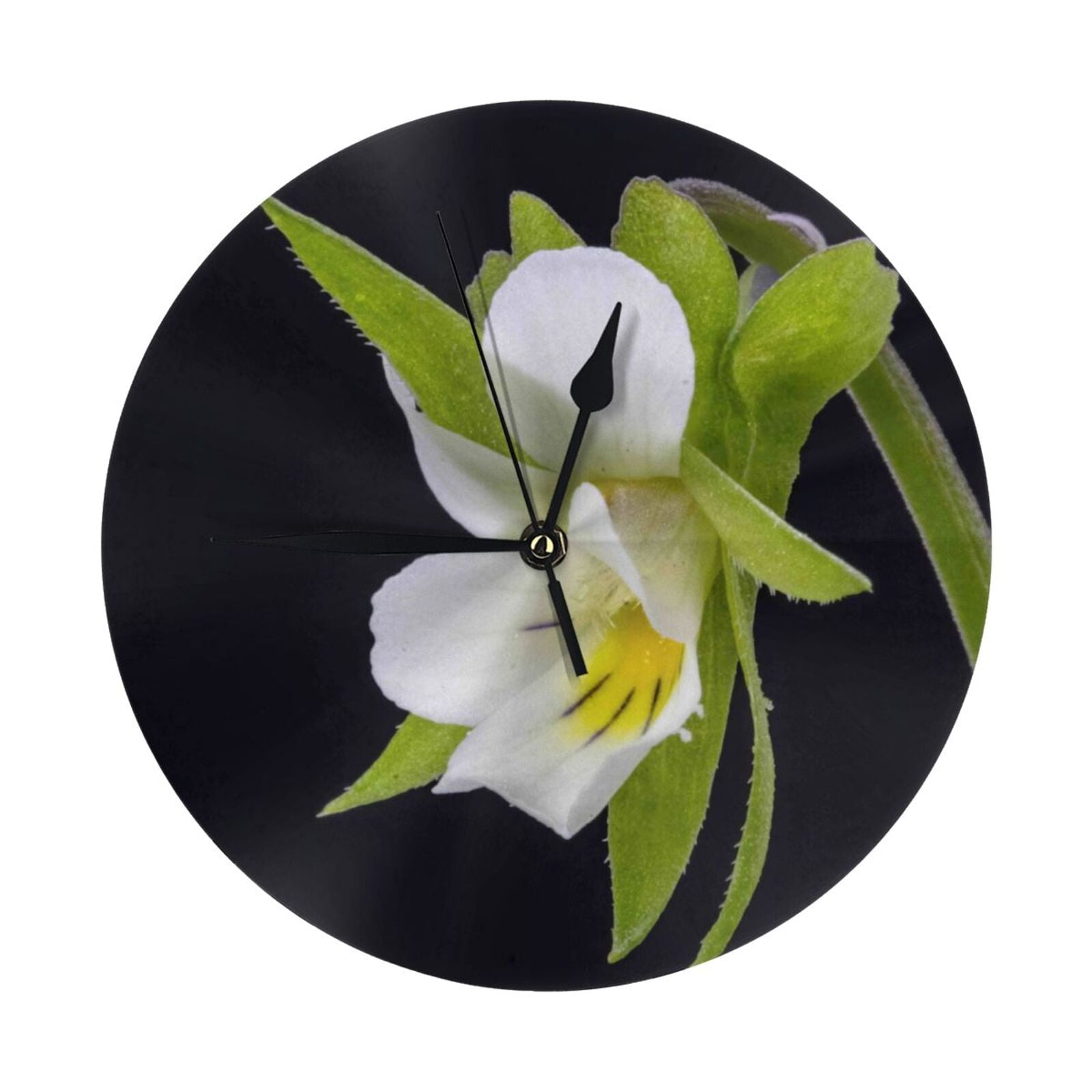 Wall Clock, Field Pansy Wall Clocks Battery Operated Silent Kitchen ...