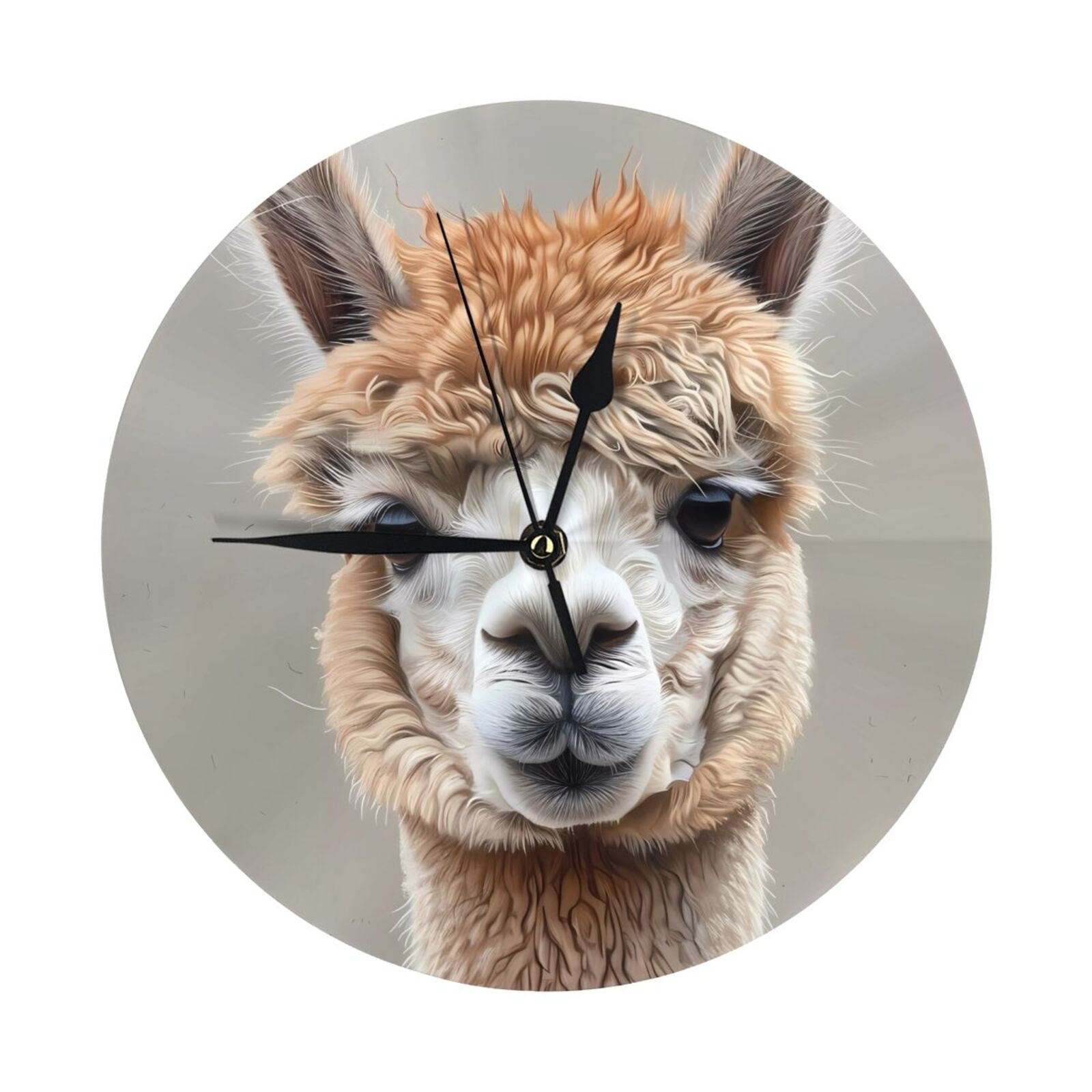 Wall Clock, Realistic Llama Portrait Wall Clocks Battery Operated ...