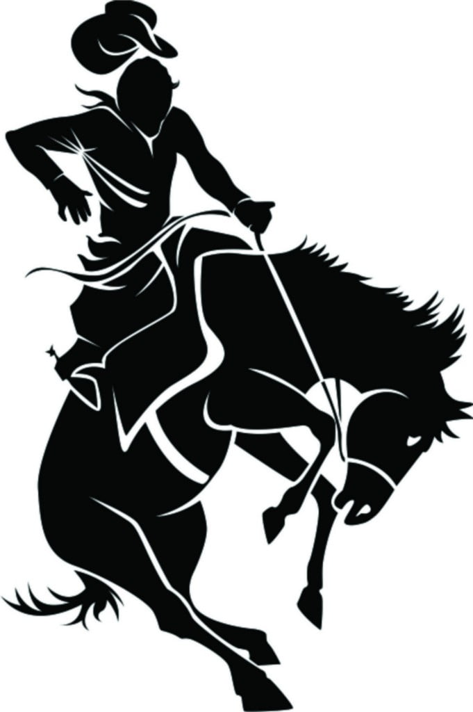 Wall Decal Cow Bed Cowboy Cowgirl Chaps Rodeo Horse Pony Bull Ster ...