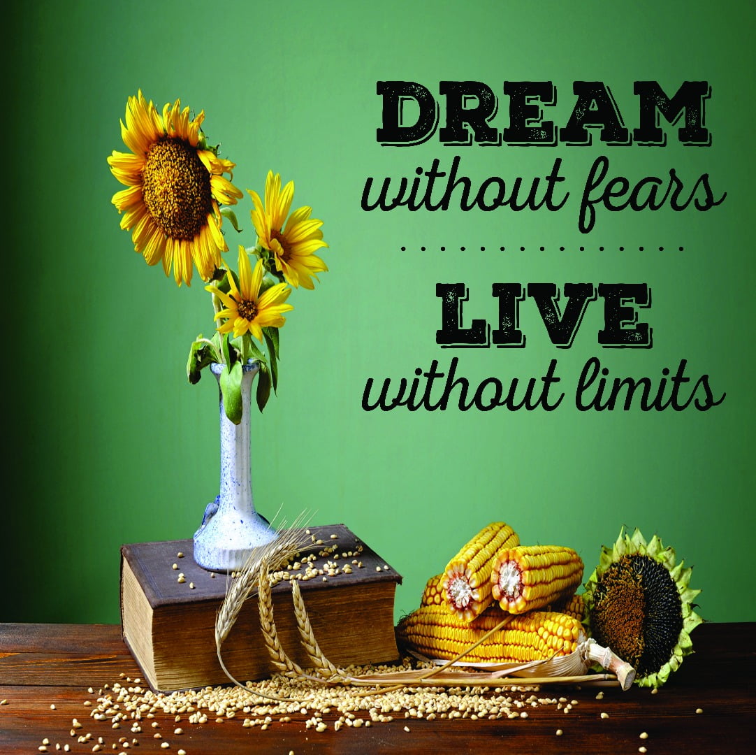 Wall Decal : Dream Without Fears Live Without Limits Inspirational Life ...