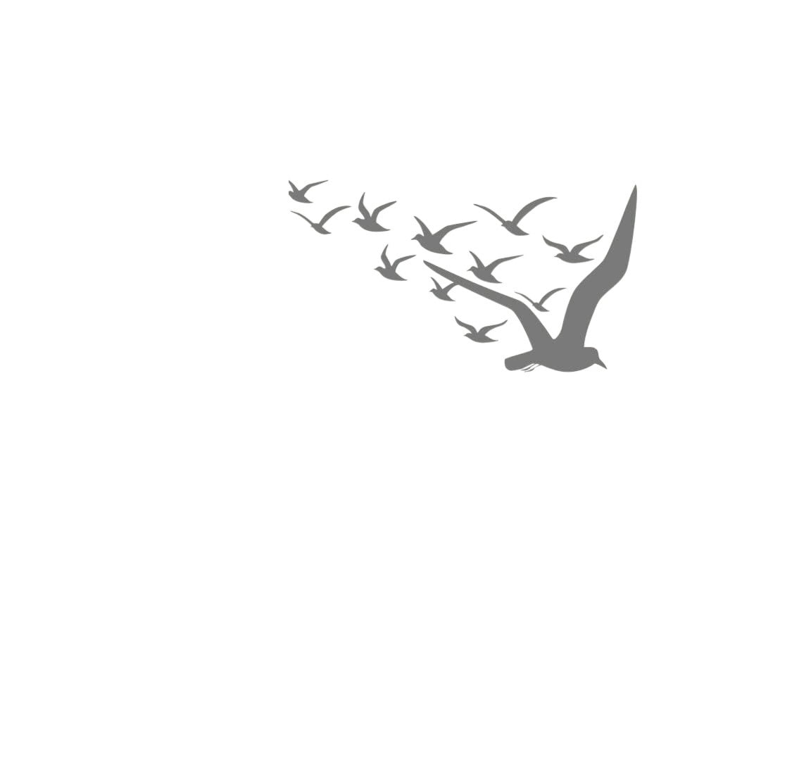 Wall Decals Seagulls Flock Of Flying Birds Tropical Ocean Beach Nursery ...